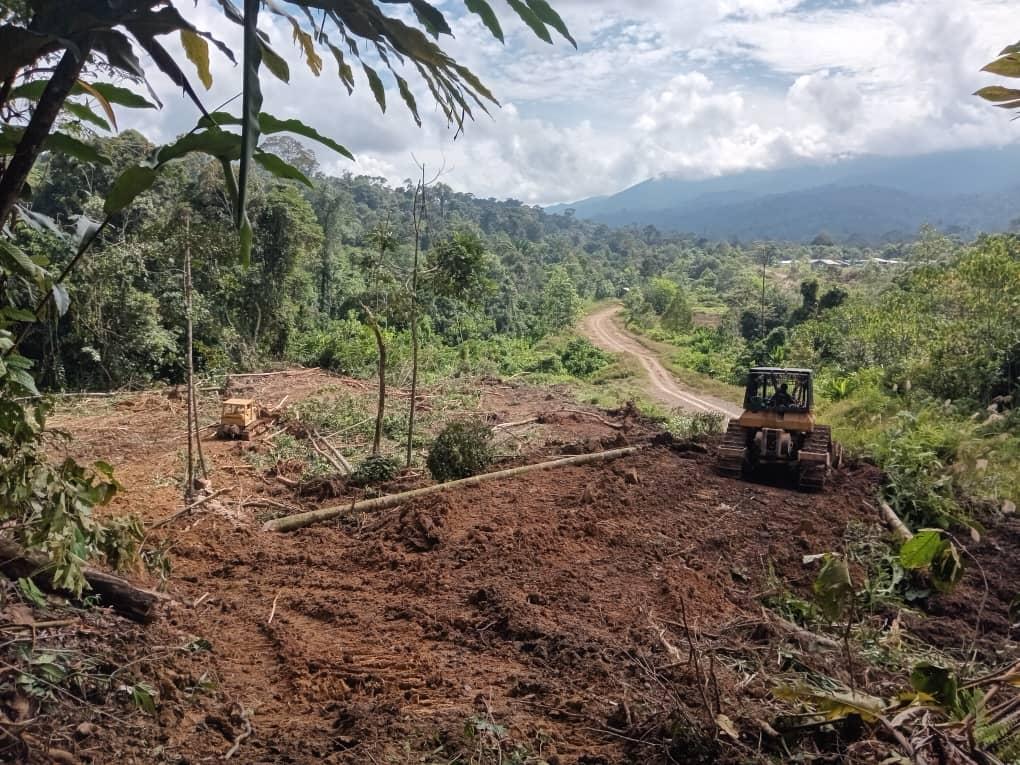 Massive logging operation undermines Malaysia’s international ...